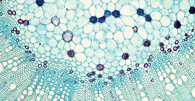 ASDAN Website | Search